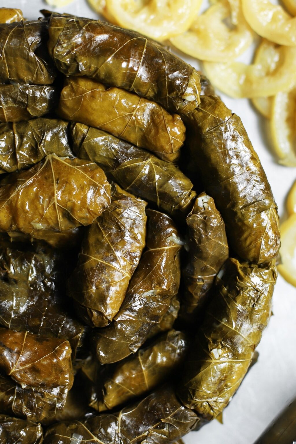Greek Dolmades - Cardamom and Tea